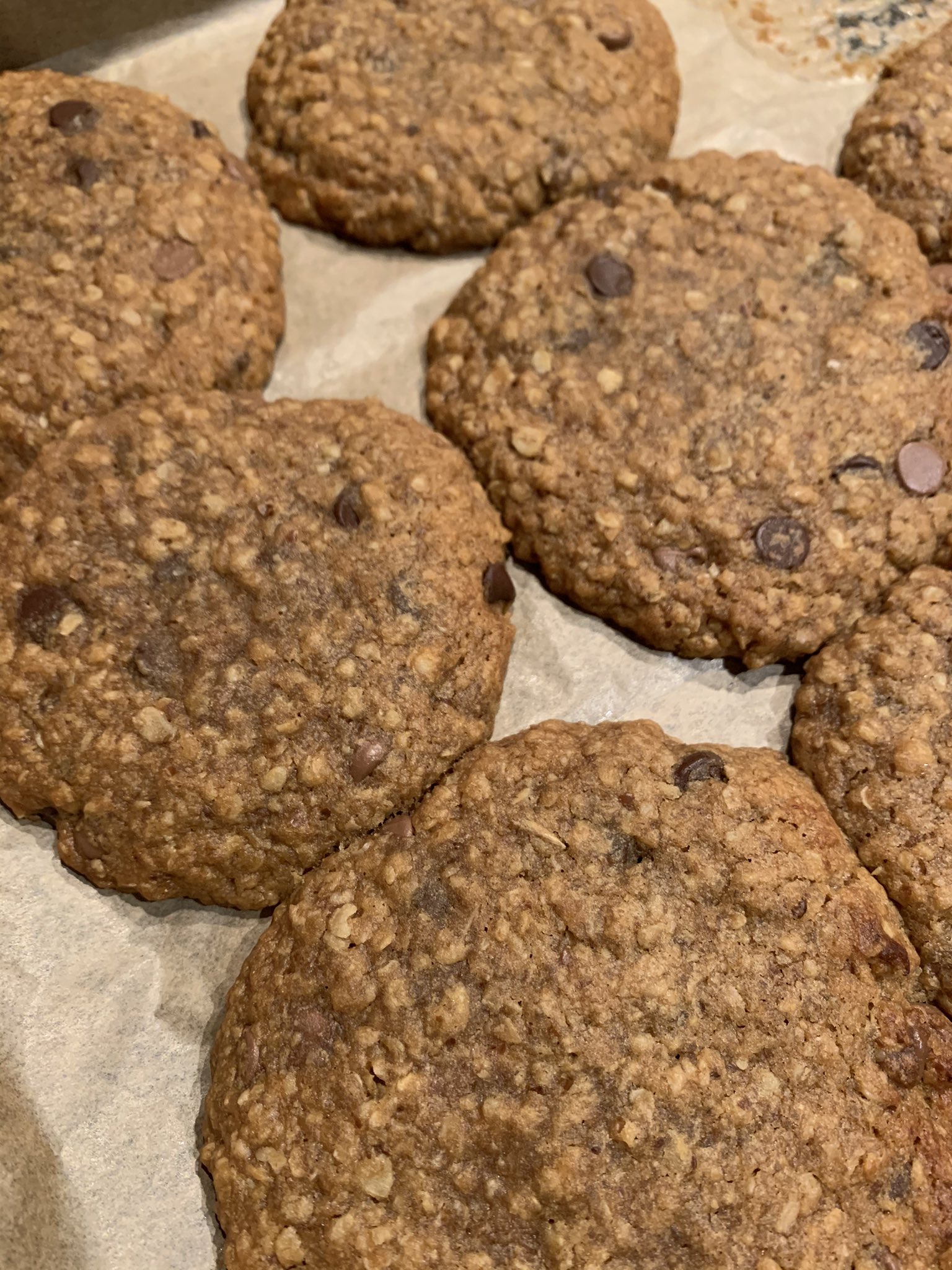 Oatmeal Chocolate Chip Lactation Cookies | ElenaBjxrn.com
